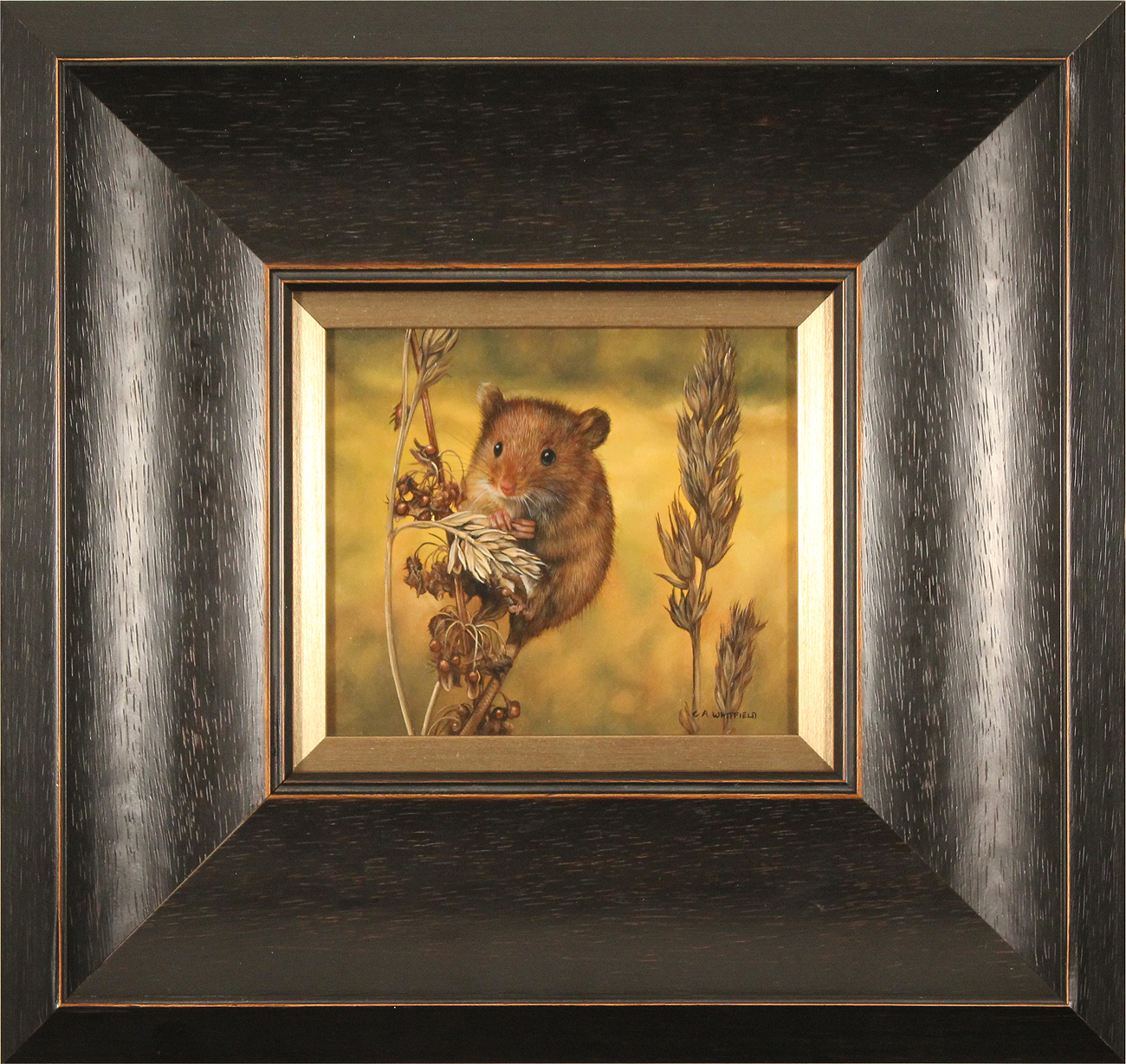 Carl Whitfield | Original oil painting on panel, Harvest Mouse, Art to ...