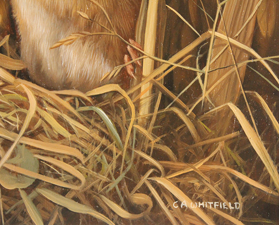 Carl Whitfield | Original oil painting on panel, Harvest Mouse, Art to ...