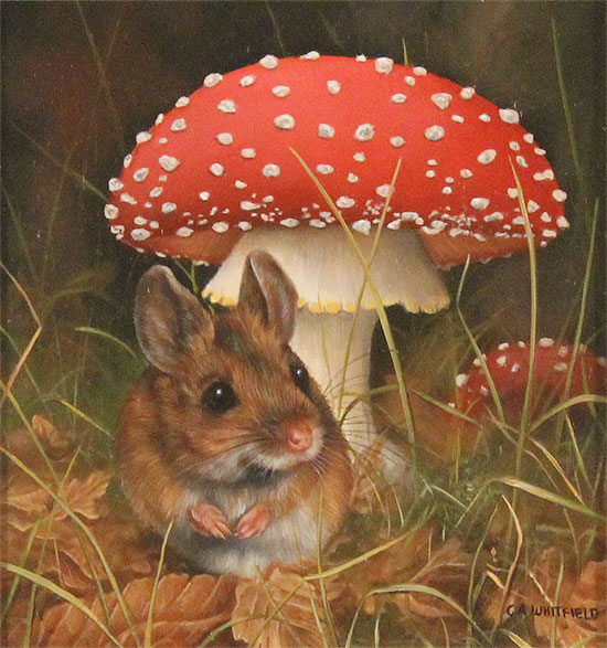 Carl Whitfield | Original oil painting on panel, Mouse and Toadstool ...