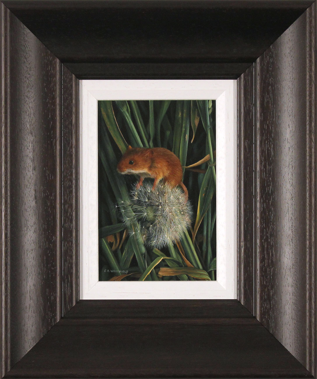 Carl Whitfield | Original oil painting on panel, Field Mouse, Art to ...