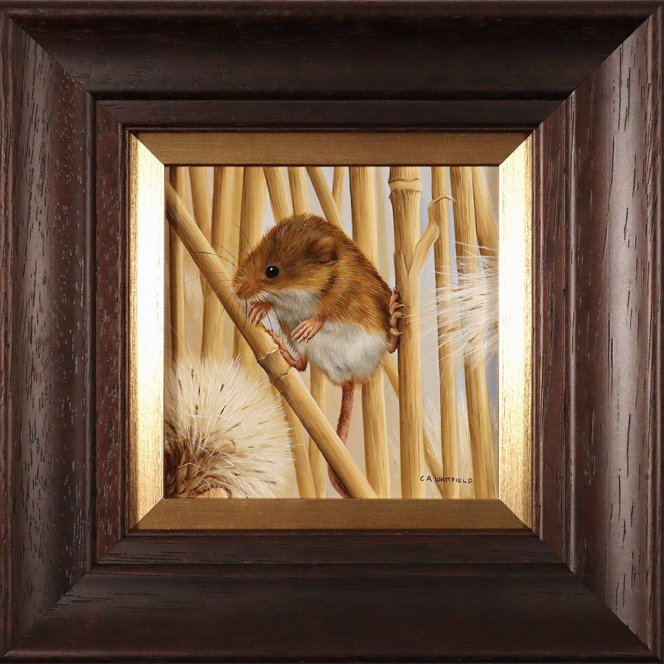 Carl Whitfield | Original oil painting on panel, Harvest Mouse, Art to ...