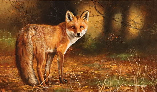 Carl Whitfield | Original oil painting on panel, Fox in Autumn, Art to ...