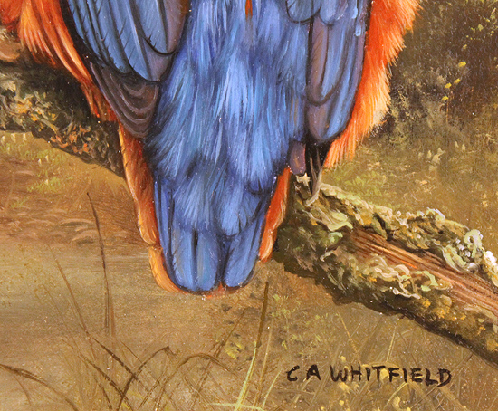 Carl Whitfield | Original oil painting on panel, Kingfisher, Art to buy ...