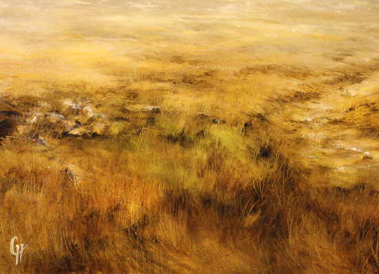 Clare Haley | Original oil painting on panel, Golden Light, Art to buy ...