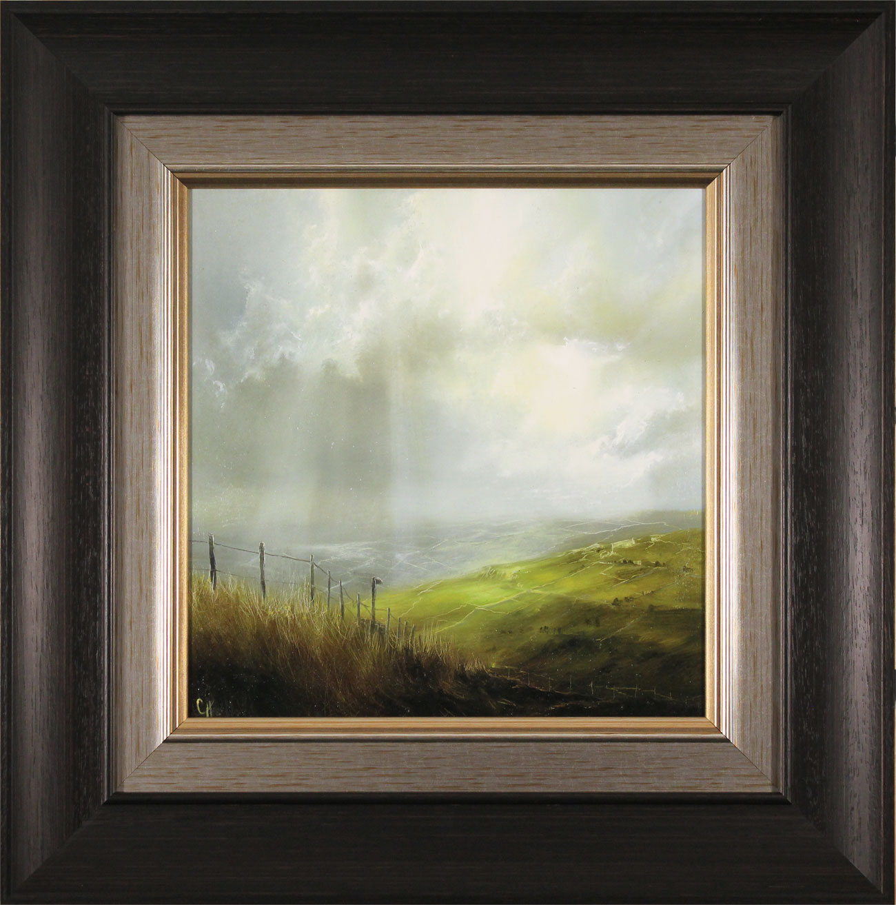 Clare Haley | Original oil painting on panel, Capture the Moment, Art ...