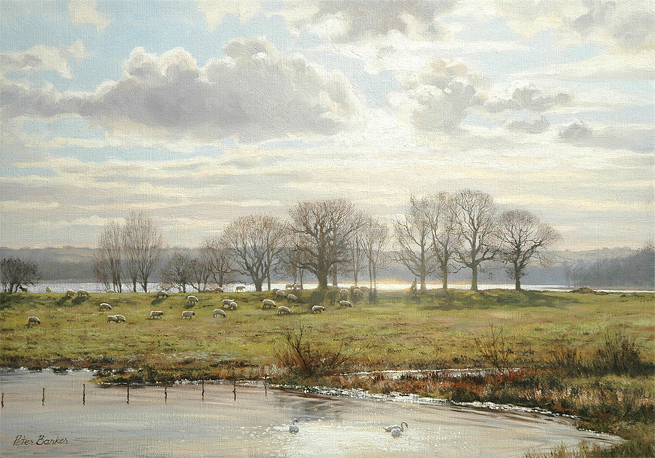 Peter Barker | Original oil painting on canvas, Ring of Bright Water ...