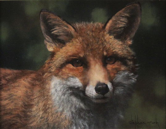 Stephen Park | Original oil painting on panel, Fox, Art to buy online ...