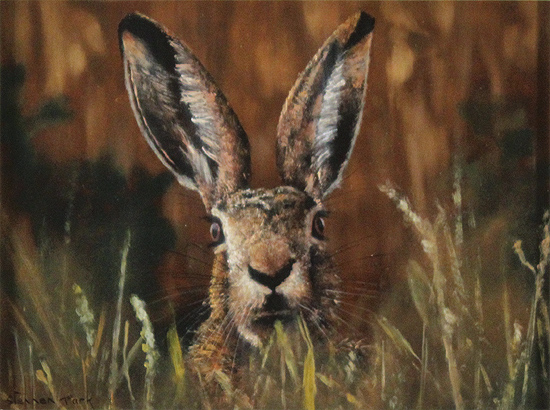 Stephen Park | Original oil painting on panel, Brown Hare, Art to buy ...