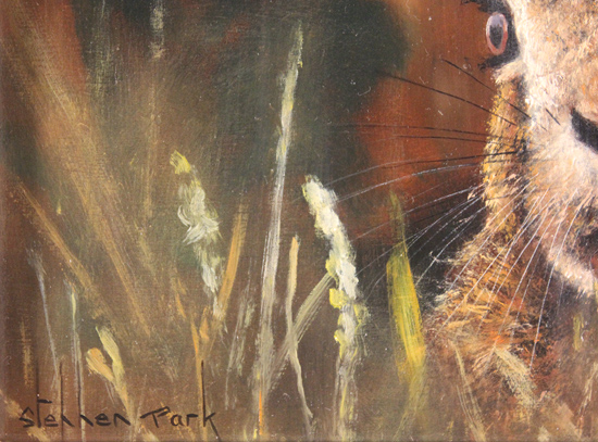 Stephen Park | Original oil painting on panel, Brown Hare, Art to buy ...