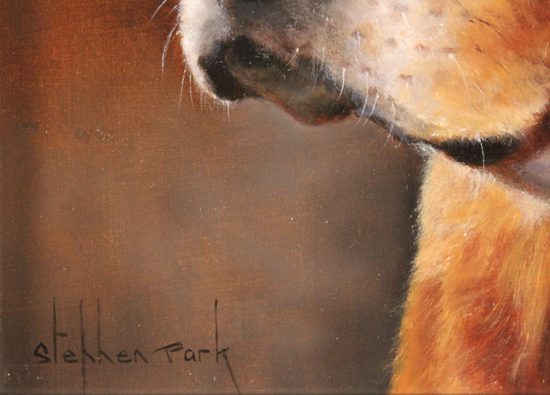Stephen Park | Original oil painting on panel, Ruby, Art to buy online ...