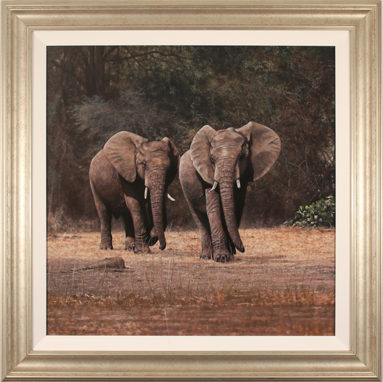 Stephen Park | Original oil painting on panel, Elephants, Art to buy ...