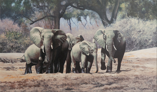 Stephen Park | Original oil painting on panel, Elephants, Art to buy ...
