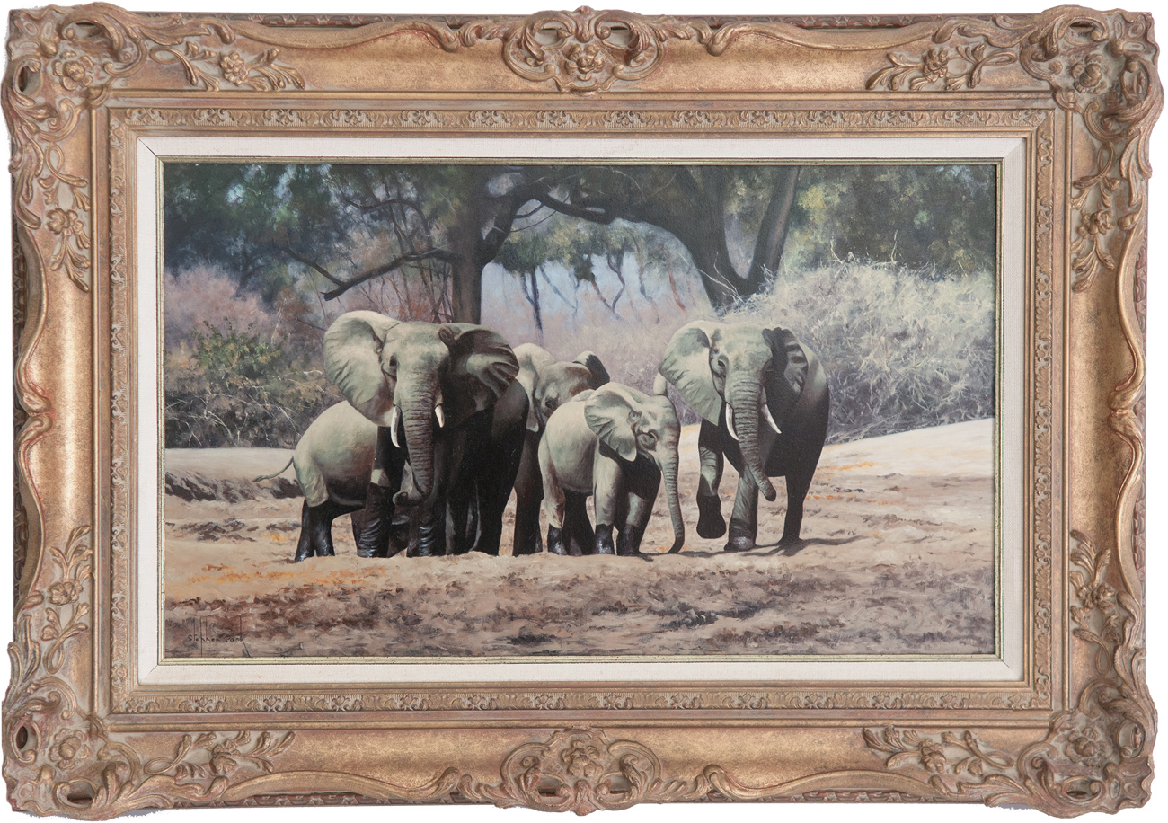Stephen Park | Original oil painting on panel, Elephants, Art to buy ...