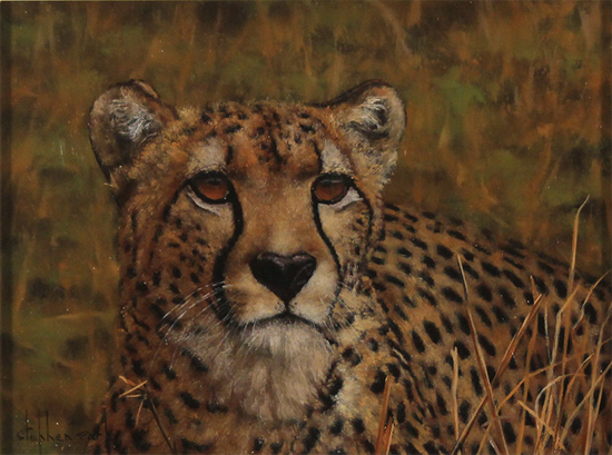 Stephen Park | Original oil painting on panel, Cheetah, Art to buy ...