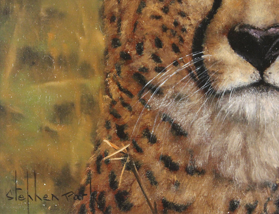 Stephen Park | Original oil painting on panel, Cheetah, Art to buy ...