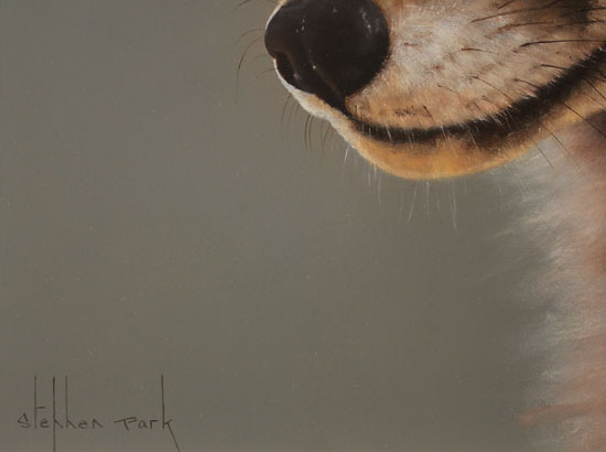 Stephen Park | Original oil painting on panel, Fox, Art to buy online ...