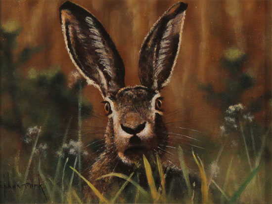 Stephen Park | Original oil painting on panel, Hare, Art to buy online ...