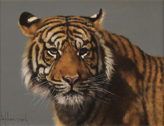 Stephen Park | Original oil painting on panel, Tiger, Art to buy online ...