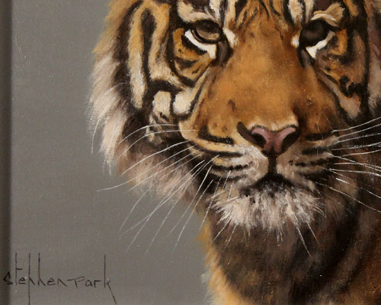 Stephen Park | Original oil painting on panel, Tiger, Art to buy online ...