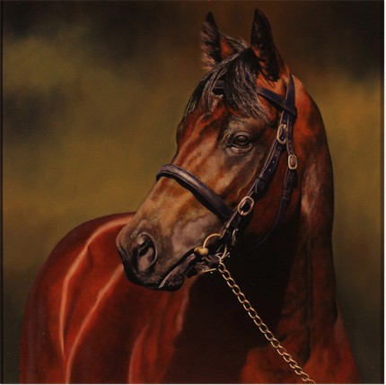 Stephen Park | Original oil painting on panel, Horse Portrait, Art to ...