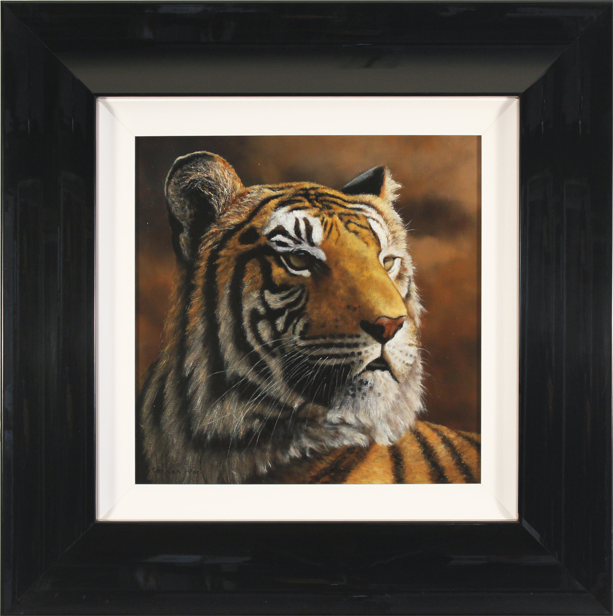 Stephen Park | Original oil painting on panel, Tiger, Art to buy online ...
