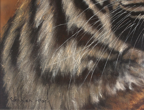 Stephen Park | Original oil painting on panel, Tiger, Art to buy online ...