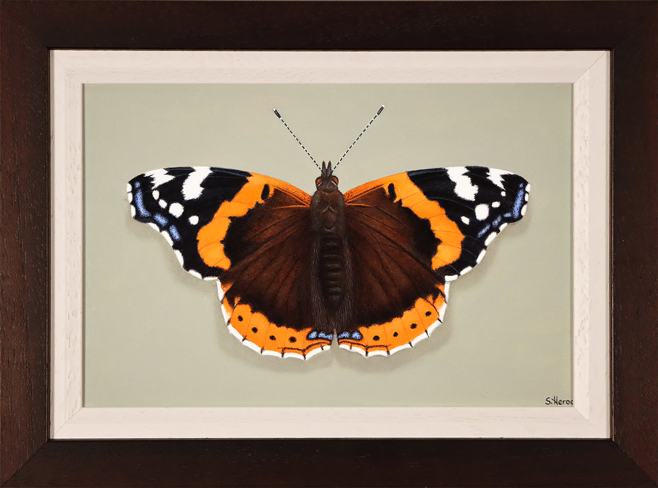 Stuart Herod | Original oil painting on panel, Red Admiral, Art to buy ...
