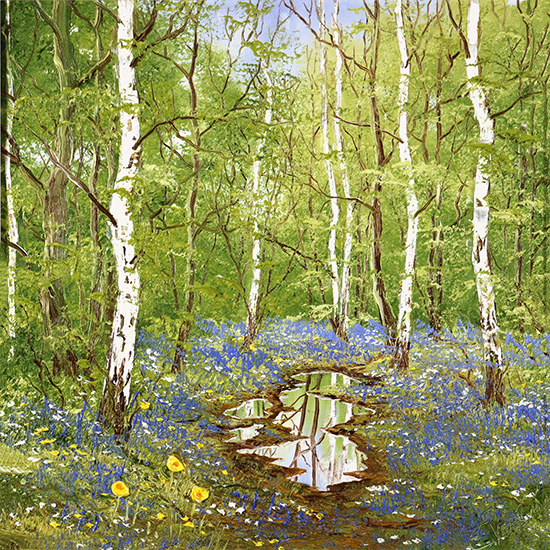 Terry Evans | Original oil painting on canvas, Bluebell and Birch, Art ...
